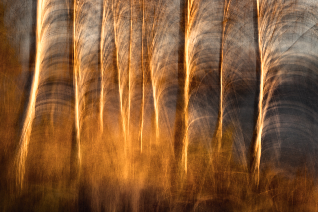 Collecting Social Photo | Suomen valokuvataiteen museo