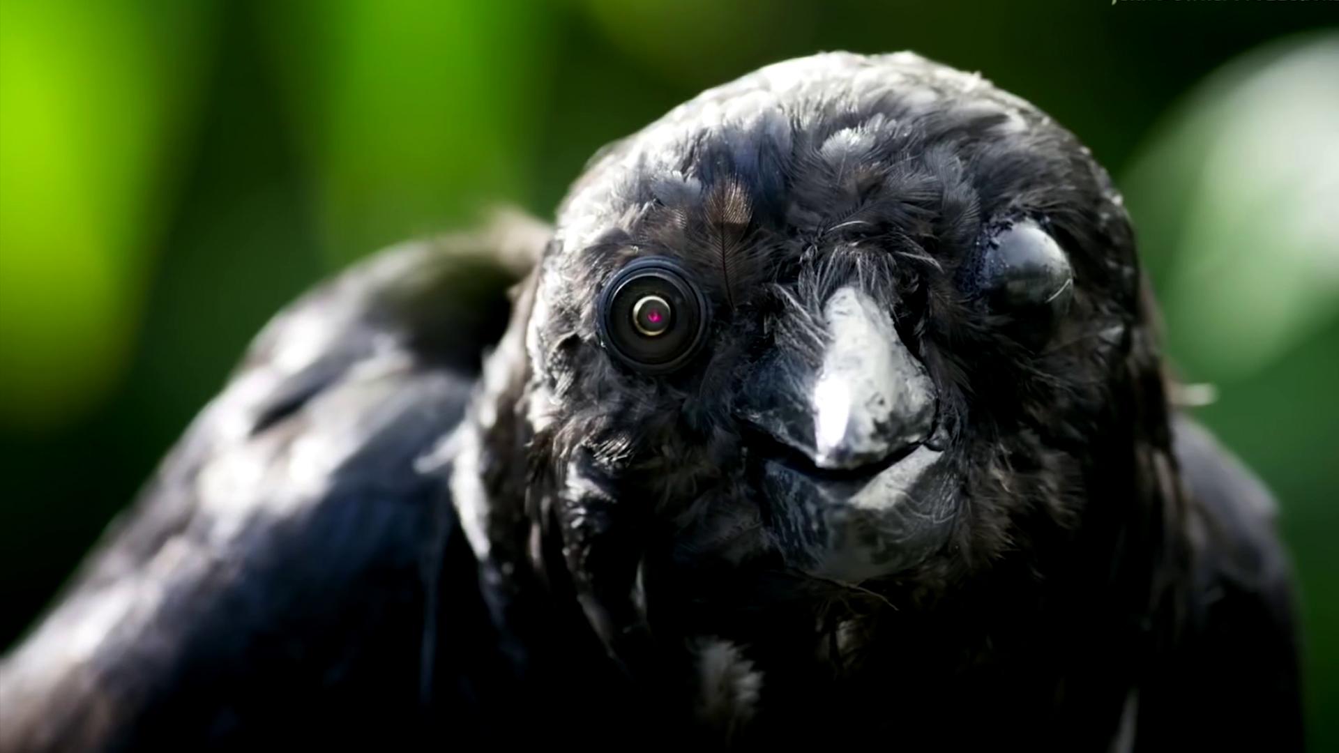 Festival of Political Photography 2021: Bird’s-Eye View | Suomen ...