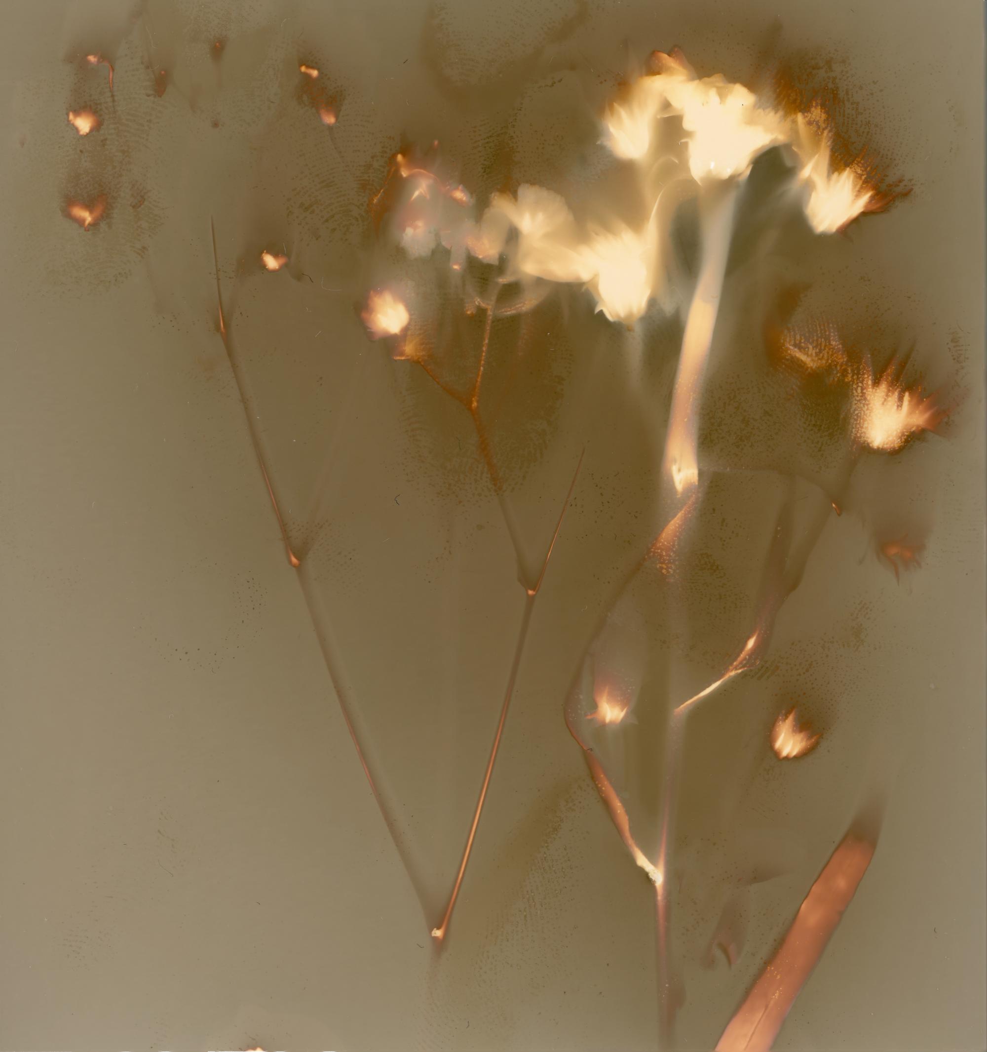 Real | Suomen valokuvataiteen museo