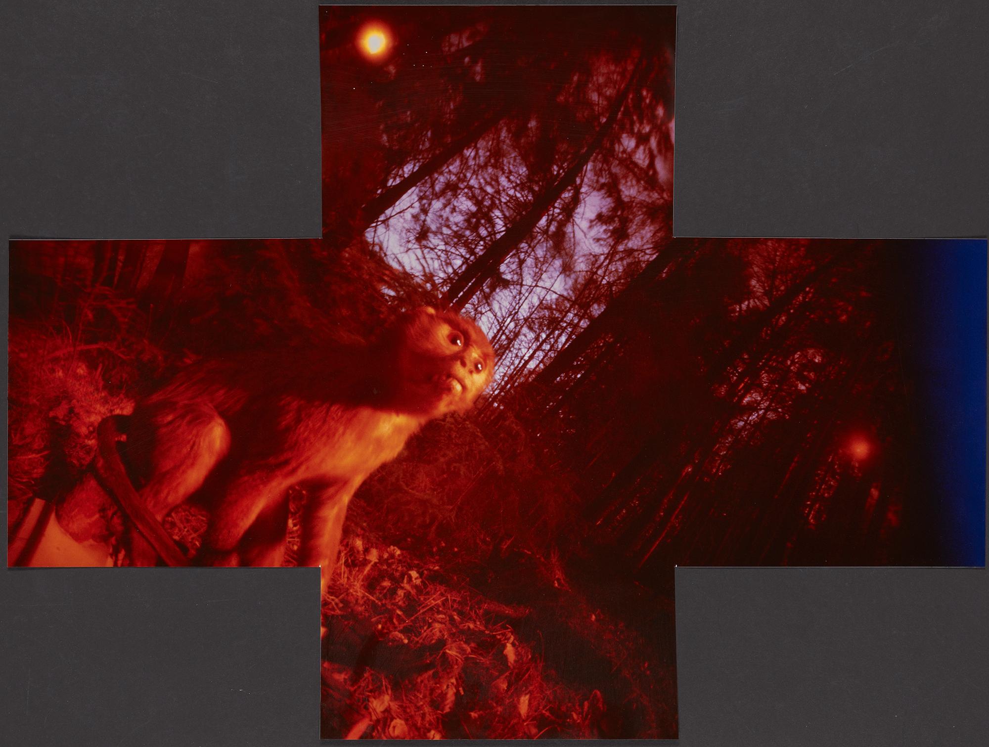 Kesytön ysäri – suomalaisen valokuvataiteen 1990-luku | Suomen ...