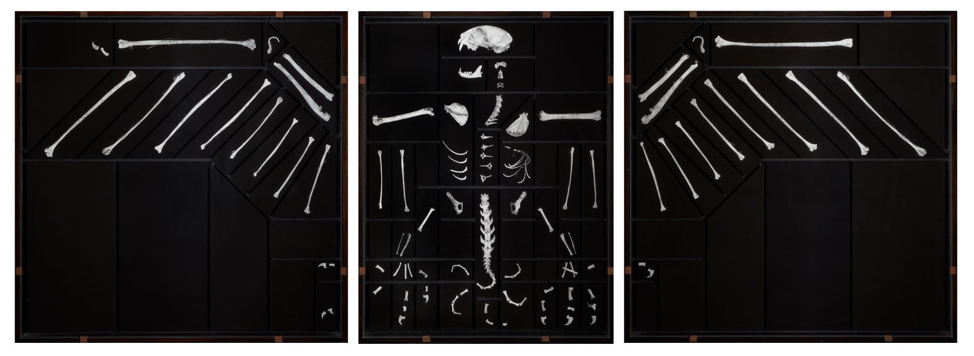 Untamed 90s – Finnish Photographic Art in the 1990s | Suomen ...