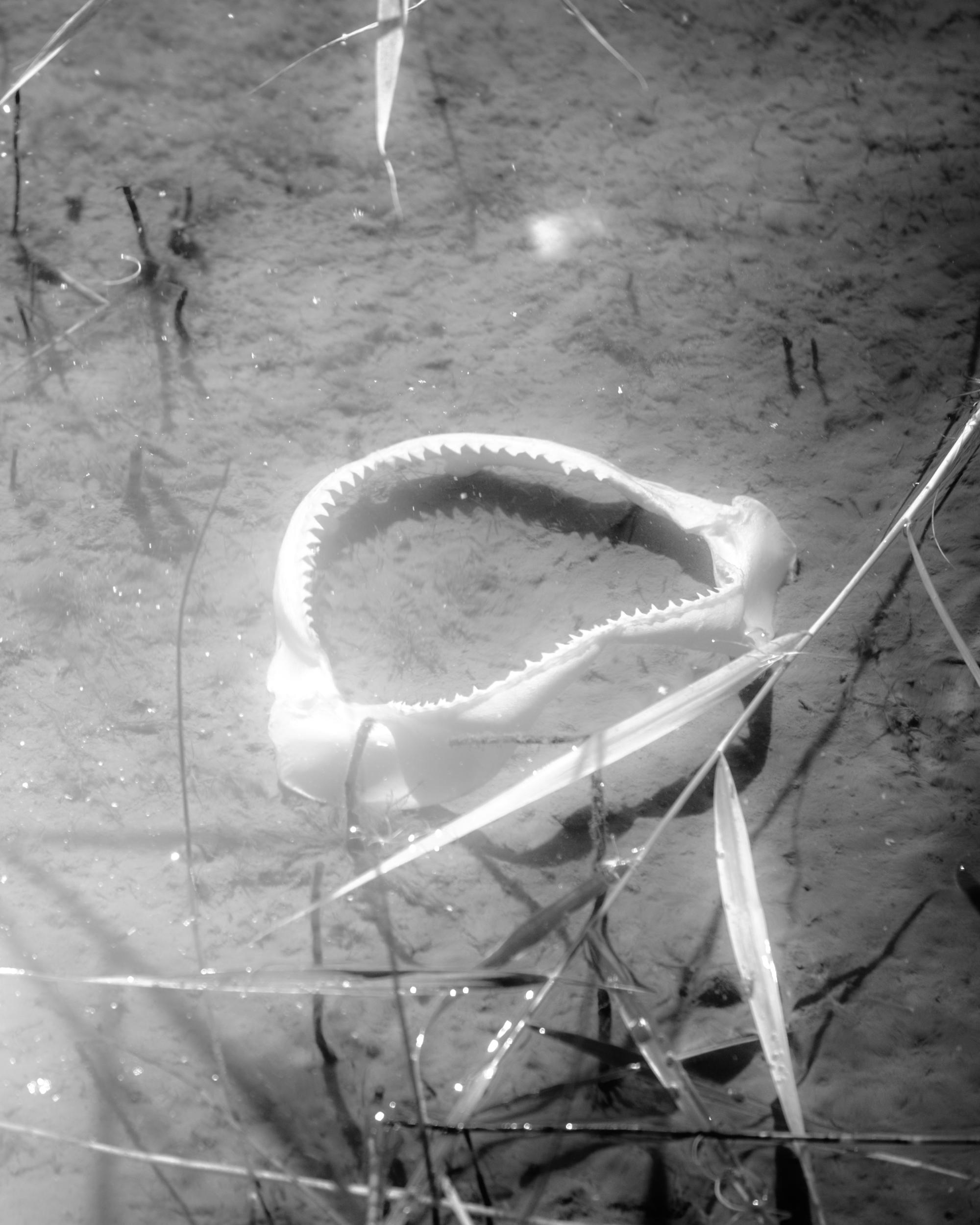 Masters of Photography 2025 – Image Being | Suomen valokuvataiteen museo